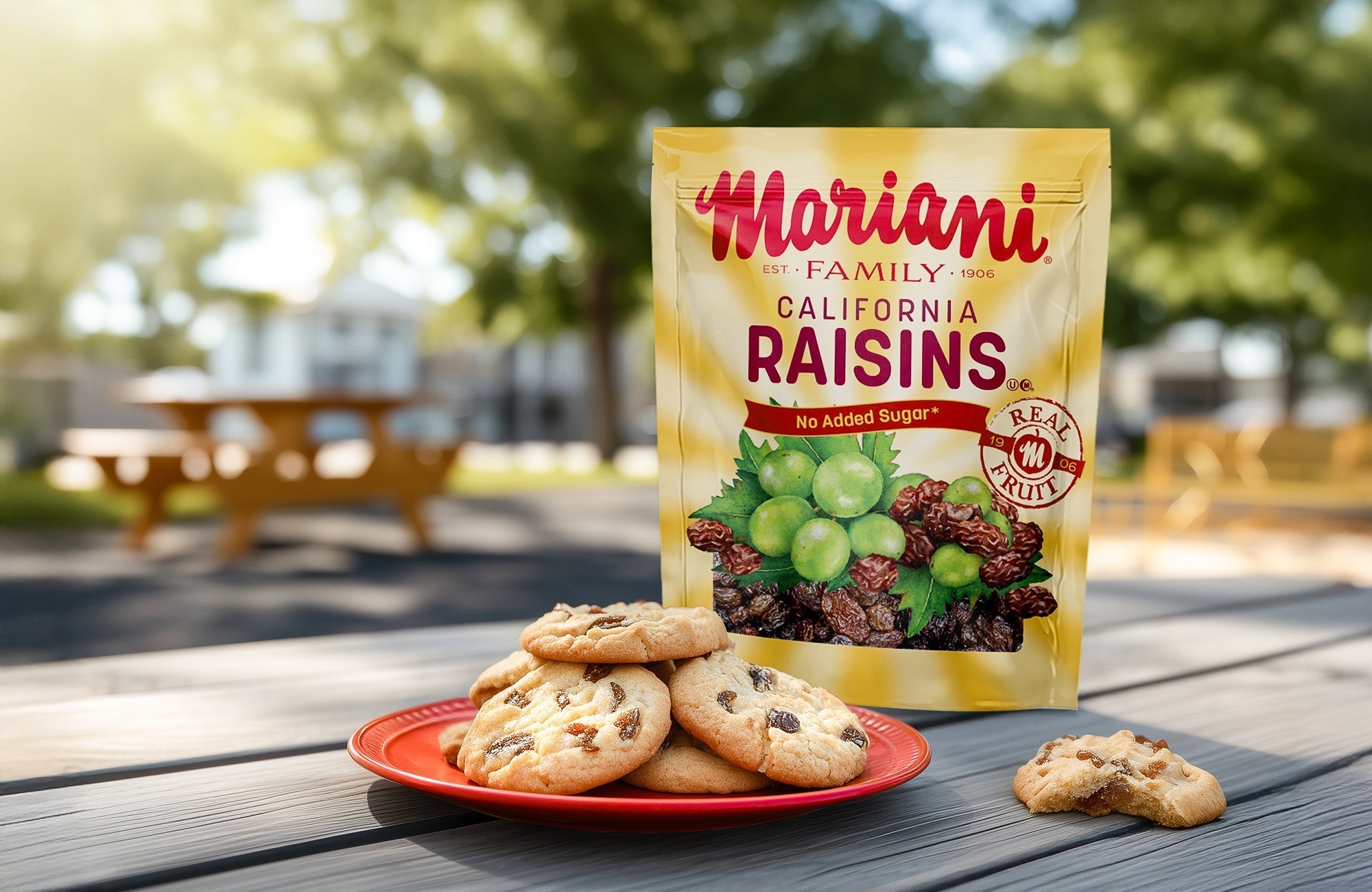 Sunshine Raisin Cookies – Mariani
